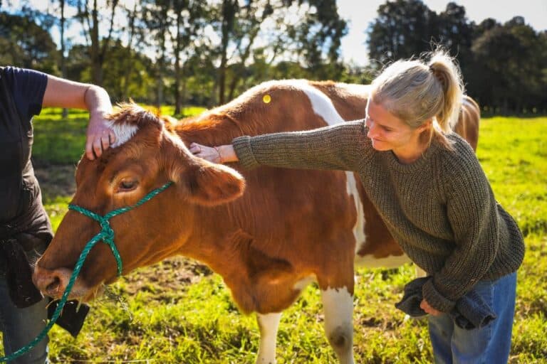 Central Coast Harvest Festival - Your 2026 Guide - Coasties Magazine